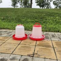 China Spacious Standard Size Plastic Poultry Feeder / Fowl Feeding Tool for sale