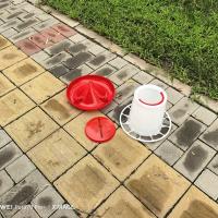 China Ducks Care Freestanding Poultry Feeder For 30 KG for sale