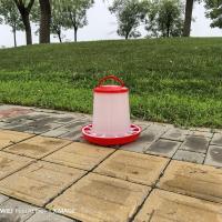 China Ducks Care Freestanding Poultry Feeder For 30 KG for sale