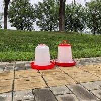 China Cylinder Poultry Feeder For Chickens Ducks Geese Turkeys for sale