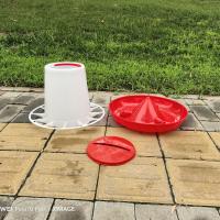 China Cylinder Poultry Feeder For Chickens Ducks Geese Turkeys for sale