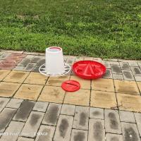China Cylinder Poultry Feeder For Chickens Ducks Geese Turkeys for sale