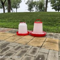 China Standard Cylinder Plastic Chicken Feeder No Waste for sale