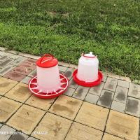 China Standard Cylinder Plastic Chicken Feeder No Waste for sale