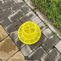 China 2.7L Plastic Diy Chicken Feed Bucket Round Design for sale