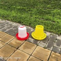 China 2.7L Plastic Diy Chicken Feed Bucket Round Design for sale