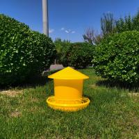 China Thick Yellow Poultry Feeding Bucket Farm Feeder Pigeon Chick Feeding Equipment Sturdy Durable Round Design for sale