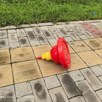 China Farm Poultry Feeding Chicken Water Dispenser Fully Automatic Sturdy Durable Modern Breeding Equipment for sale