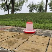 China Automatic Labor Saving Plastic Chicken Feeder Waterer 1L Capacity Pigeon Supplies for sale
