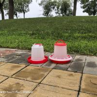 China Automatic Labor Saving Plastic Chicken Feeder Waterer 1L Capacity Pigeon Supplies for sale