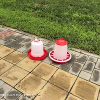 China Modern Thick Plastic Poultry Feeder Sturdy Durable Capacity 2.5L for sale