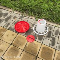 China Modern Thick Plastic Poultry Feeder Sturdy Durable Capacity 2.5L for sale