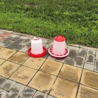 China Modern Thick Plastic Poultry Feeder Sturdy Durable Capacity 2.5L for sale