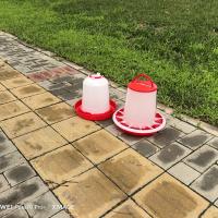 China Freestanding Plastic Poultry Feeder 1L-12L Clean Dry for sale