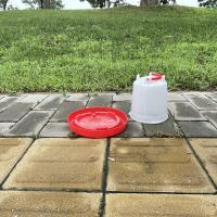 China Cone Shaped Plastic Chicken Drinker Durable Red Water Supply For Birds for sale