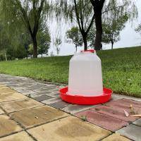 China Efficient Durable Poultry Drinker Reliable Source Essential Tool Health Issues for sale