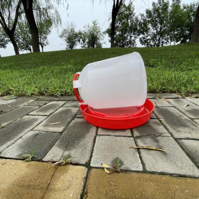 China Efficient Durable Poultry Drinker Reliable Source Essential Tool Health Issues for sale