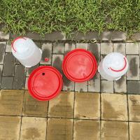 China Efficient Durable Poultry Drinker Reliable Source Essential Tool Health Issues for sale