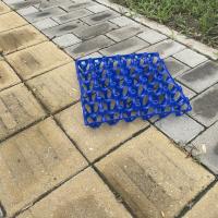 China 30 Hole Eco Friendly Plastic Egg Cartons Bulk for sale