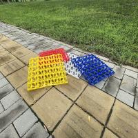 China Agriculture 30 Count Plastic Egg Containers Egg Storage for sale
