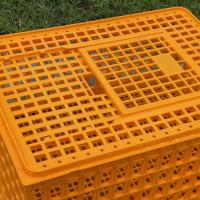 China Sturdy Secure Chicken Farming Poultry Carrier Diy Chicken Transport Crates for sale
