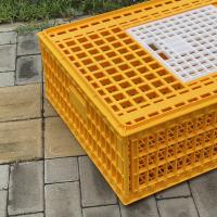 China Sturdy Secure Chicken Farming Poultry Carrier Diy Chicken Transport Crates for sale