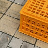 China Spacious Poultry Transport Cages Enhanced Safety And Cleaning for sale