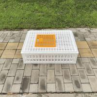 China Spacious Poultry Transport Cages Enhanced Safety And Cleaning for sale