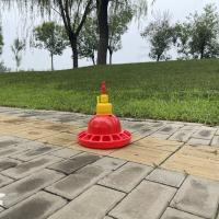 China Automatic Small Medium plastic poultry drinker for sale