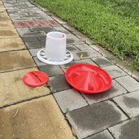 China Automatic Poultry Water Feeder With Durable Plastics Accessories for sale