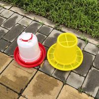 China Long Lasting large poultry drinker Cylindrical Hen Water Feeders Perfect Solution For Poultry Watering for sale