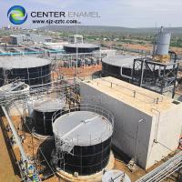 China Double Coating Anaerobic Process And Equipments For Food Waste Project BSCI for sale