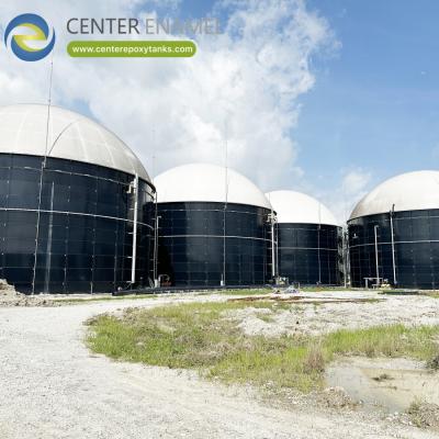 China Biogas Balloon for Dairy Farm Plants: Provides gas storage for dairy manure. for sale