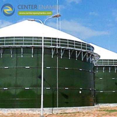 China Biogas Balloon for Slaughterhouse Plants: Captures biogas from meat processing waste. for sale