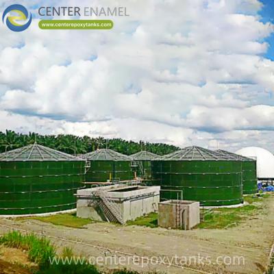 China Double Membrane Biogas Holder for a Slaughterhouse Plant: Essential for Storing the High-Strength Biogas from Processing Waste Streams for sale