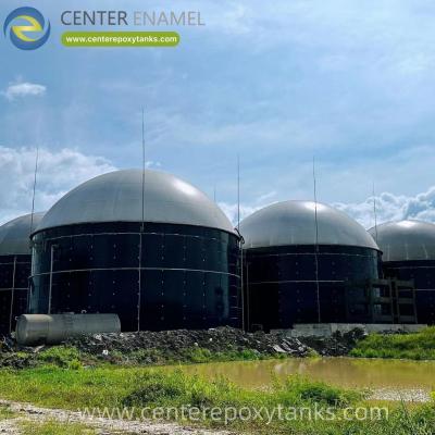China Double Membrane Biogas Holder for Livestock Manure Treatment: A Robust, Flexible Solution for Collecting and Storing Farm-Generated Biogas for sale