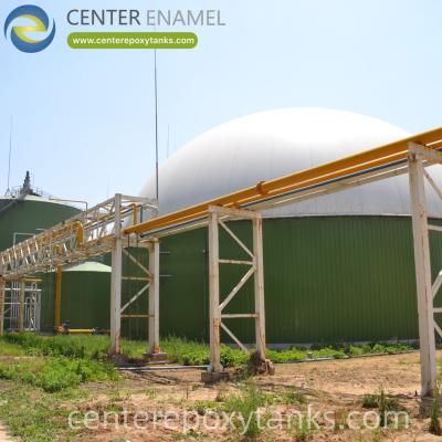 China Biogas Holder for Biomass and Biogas Project: Provides a Protected, Stable Environment for the Final Product Gas Before Distribution or Use for sale