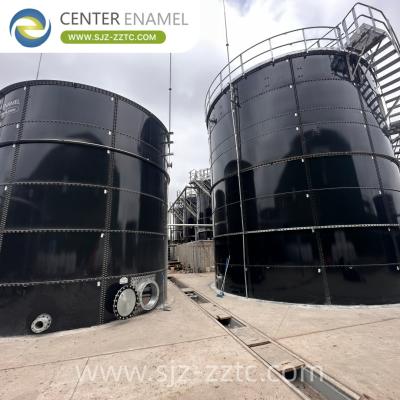 China Center Enamel Provides Biogas Technology for Laos Livestock Manure Treatment Project for sale