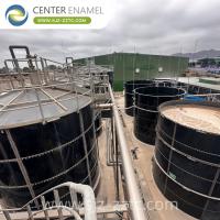 China Center Enamel Provides Biogas Technology for Vietnam Livestock Manure Treatment Project for sale