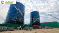 China Sustainable Biogas Technology for Brunei Pig Farm Wastewater Treatment Projects for sale