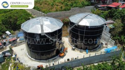China Advanced Anaerobic Digestion for Myanmar Pennisetum Purpureum Biogas Projects for sale