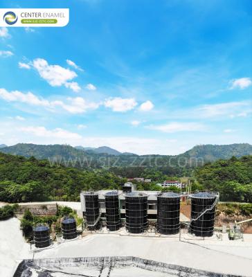 China Premium Anaerobic Technologies and GFS Tanks for Egypt Household Waste Biogas Project for sale
