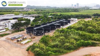 China Reliable Anaerobic Technologies and GFS Tanks for Malaysia Dry Straw Biogas Project for sale