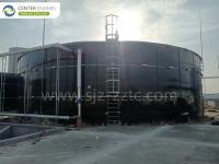 China Sustainable CSTR Process and GFS Tanks for India Agricultural Waste Biogas Project for sale