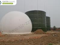 China Rwanda Cattle Manure Biogas Solution Provider with Leading CSTR Process for sale