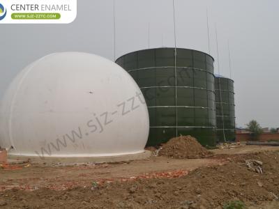 China Rwanda Cattle Manure Biogas Solution Provider with Leading CSTR Process for sale