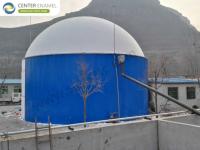 China Professional EPC Contractor Using GFS Tanks for South Africa Fruit and Vegetable Waste for sale