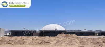 China Leading Biogas Solution Provider CSTR Reactor Poultry Manure Treatment in Australia for sale