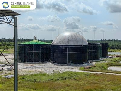 China Premium Biogas Project Contractor with GFS Tanks for Thailand Livestock Manure Treatment for sale