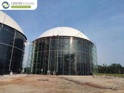China High Efficiency Biogas Power Plant and GFS Tanks for Livestock Manure Treatment in India for sale